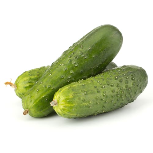 Gurka Västerås - Gurka