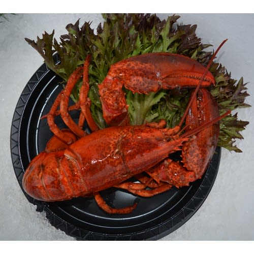 Hummer färsk kokt 2st 0,9-1kg - Färsk fisk & skaldjur