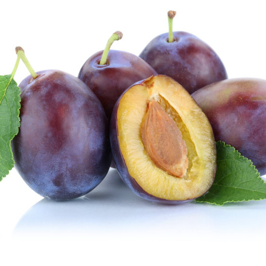 Plommon sviskon - Plommon | Martin & Servera