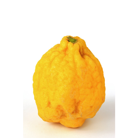 Citron Cedro - Citron | Martin & Servera