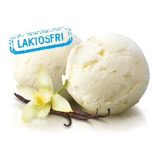 Gräddglass Gammeldags vanilj laktosfri 5 - Glass | Martin & Servera